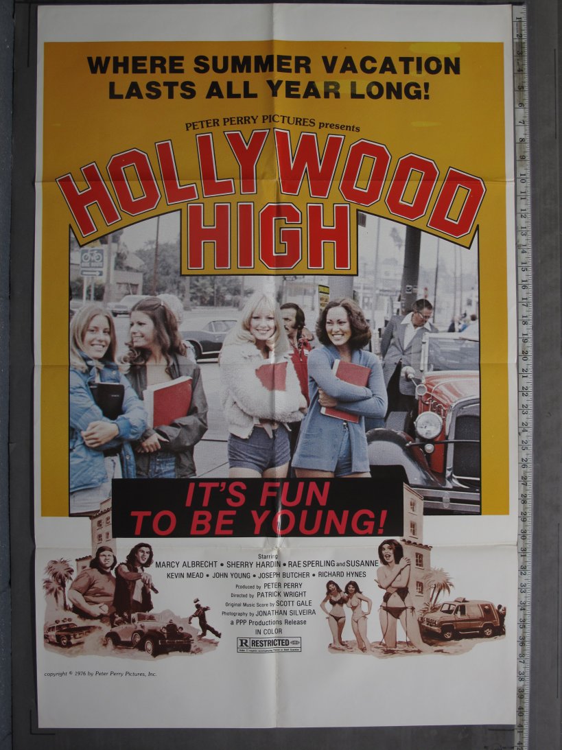 HOLLYWOOD HIGH (1976) Original Movie Poster For Sale